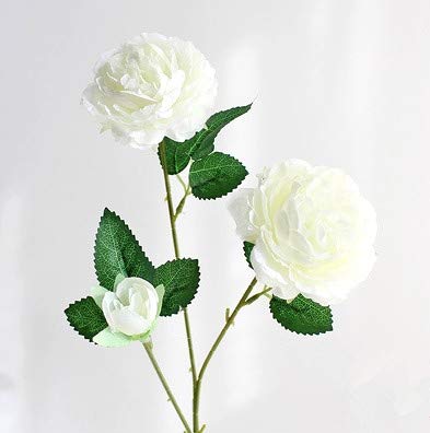 Bemacoggi 2pcs Peony Artificial Flowers Silk Flower Fake Peonies for Arrangements Wedding Anniversary Garden Home Office Decoration