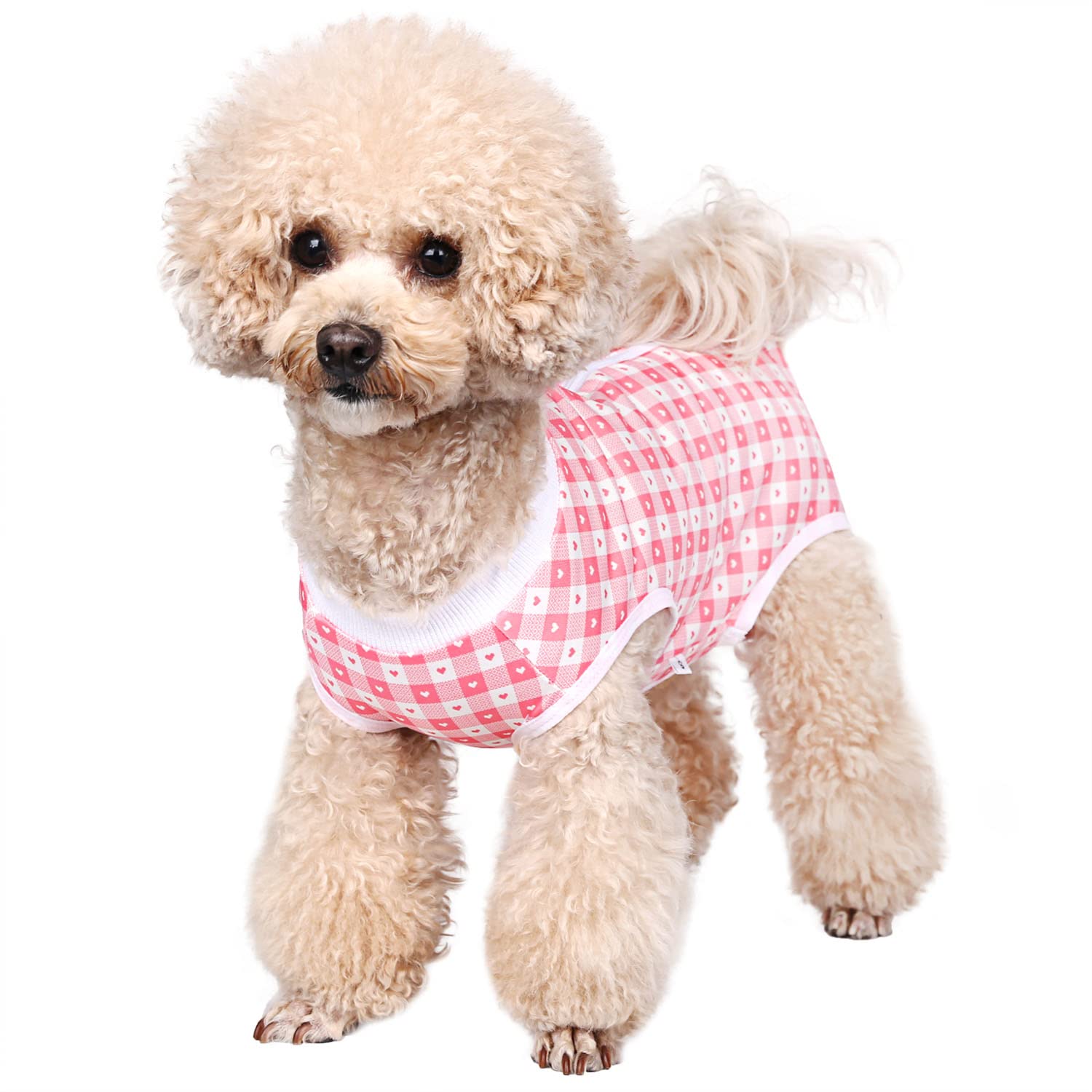 Etdane Dog Recovery Suit for Female Male Dog Onesie for Surgery Dog Surgical Suit After Spayed Dog Neuter Body Suits Fit Small Medium Dog with Pee Hole Pink Plaid/Hear/Large