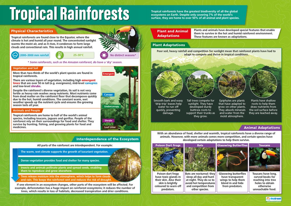 Daydream Education Tropical Rainforests | Geography Posters | Laminated Gloss Paper measuring 33” x 23.5” | Geography Classroom Posters | Education Charts