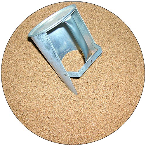 NANRIC BIOTIN100