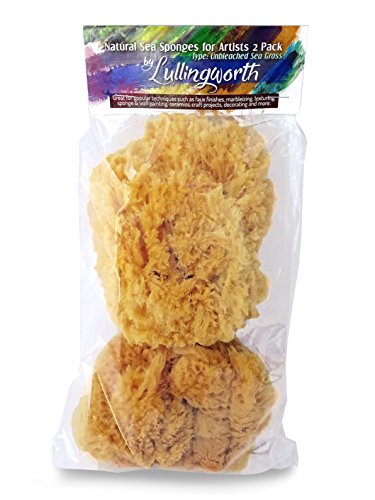Natural Sea Sponges for Artists - Unbleached 5"-5.5" 2pc Value Pack: Great for Painting Decorating Texturing Sponging Marbling Effects Faux Finishes Crafts & More