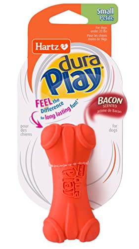 Hartz Dura Play Bacon Scented Bone Dog Toy - Small ( Colors may vary )
