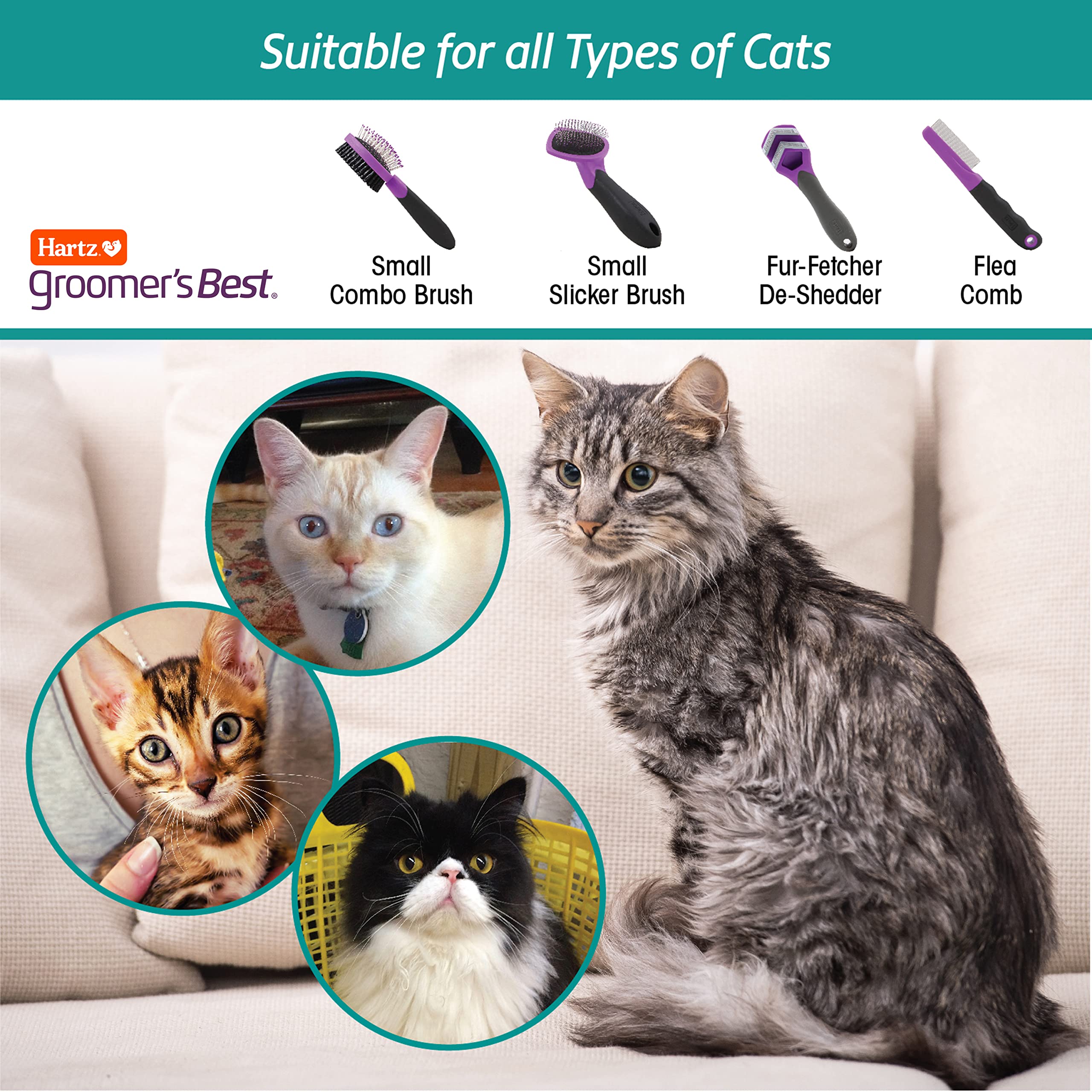 Hartz Groomer's Best Flea Comb for Dogs and Cats, Fine-Toothed Flea Comb to Remove Fleas & Flea Eggs, Gentle Pet Comb for Detangling or Dematting Face & Paws