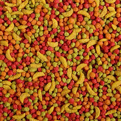 ZuPreem Food Breeding Fruit Tiel 2lbs, Multi-Color, one Size (77620)