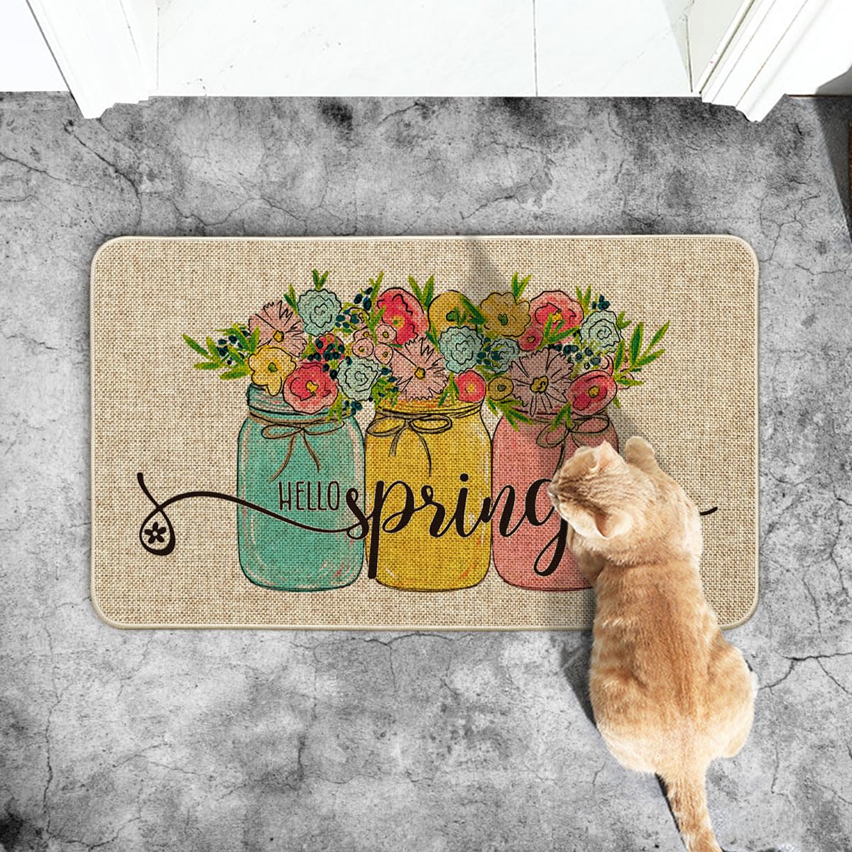 Artoid Mode Vase Hello Spring Doormat, Seasonal Spring Summer Easter Holiday Anniversary Low-Profile Yard Floor Switch Mat for Indoor Outdoor 17 x 29 Inch