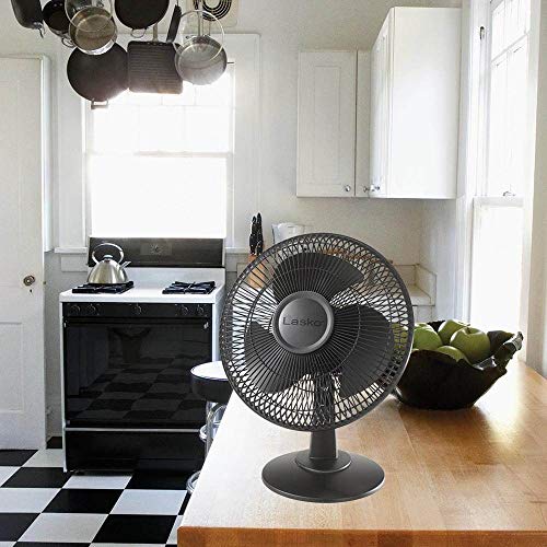 Lasko 12" 3 Speed Portable Oscillating Small Floor or Table Fan, Black (2 Pack)