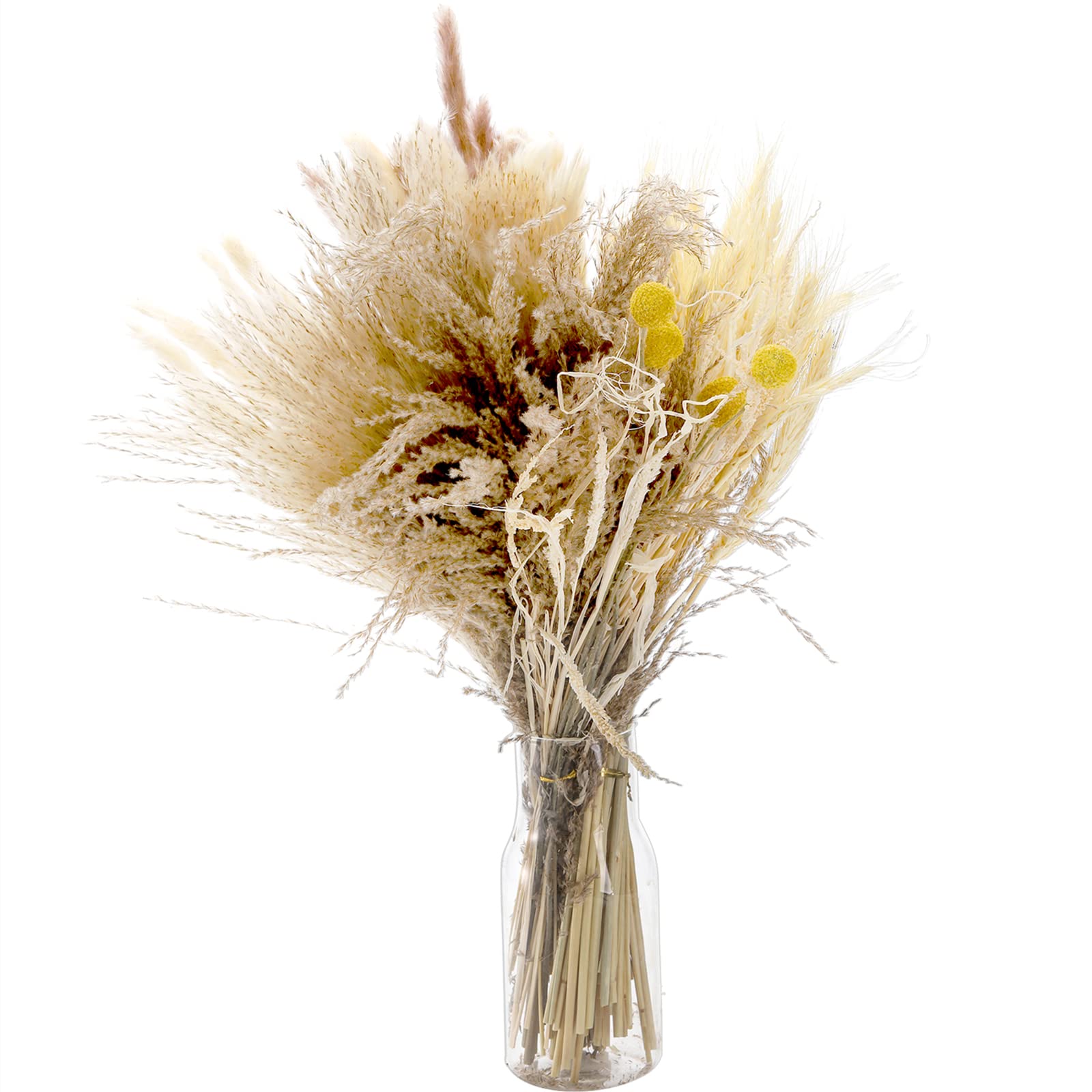 DEAYOU 65 PCS Natural Dried Pampas Grass, 17" Tall Dry Pampas Grass Branches for Boho Decor, Fluffy Pompous Reed Plants Stems Bundle for Flower Arrangements, Home Wedding Decor, 5 Styles