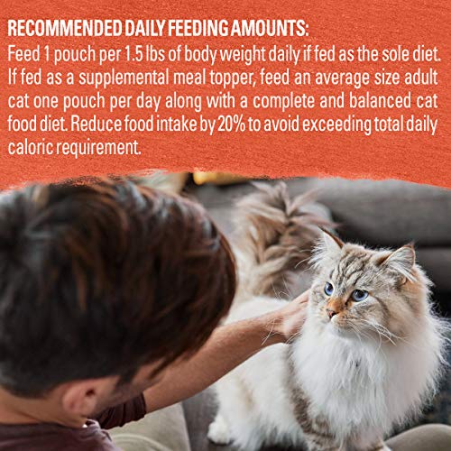 Purina Beyond Natural Cat Food Complement, Mixers+ Digestive Support Wild Salmon & Pumpkin Recipe - (16) 1.55 oz. Pouches
