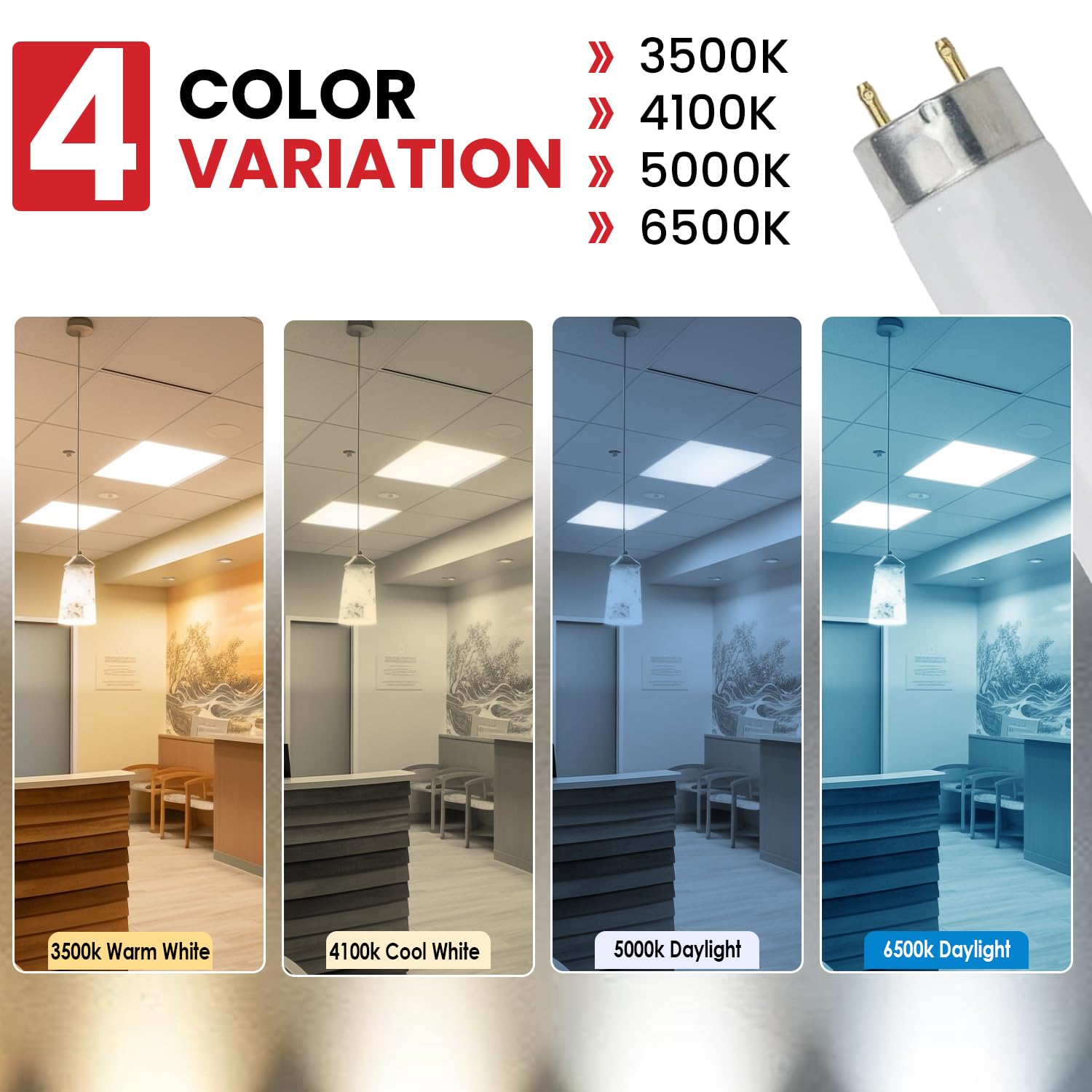 BULBMASTER 24 INCH - Fluorescent Tube T8 Fluorescent Light Bulbs, T8 Light Bulb, G13 Medium Bi-Pin Base, (F17T8/41K-6PK)