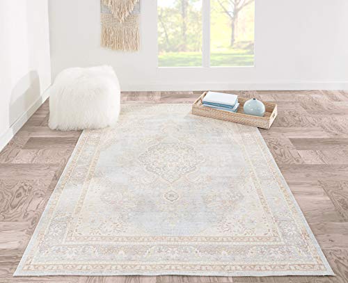Momeni Rugs Isabella Traditional Medallion Flat Weave Area Rug, 7'10" X 10'6", Blue