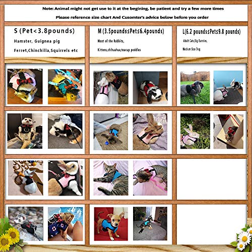 sonicbee Multipurpose Rabbits Hamster Vest Harness with Leash Bunny Mesh Chest Strap Harnesses Ferret Guinea Pig Small Animals Pet Accessories (L, Blue)