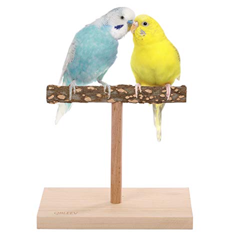 QBLEEV Bird Tabletop Training Stand Perch,Portable Parrot Tee Play Stands, Natural Wood Bird Cage Toys Gym Playground for Small Medium Parakeets Cocktails Conures Lovebirds Finch (Large)