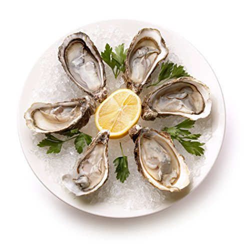 Dexter-Russell 2.75-inch Oyster Knife, New Haven pattern, Metallic