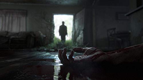 PlayStation Sony ps4 Last of US 2 - ps4