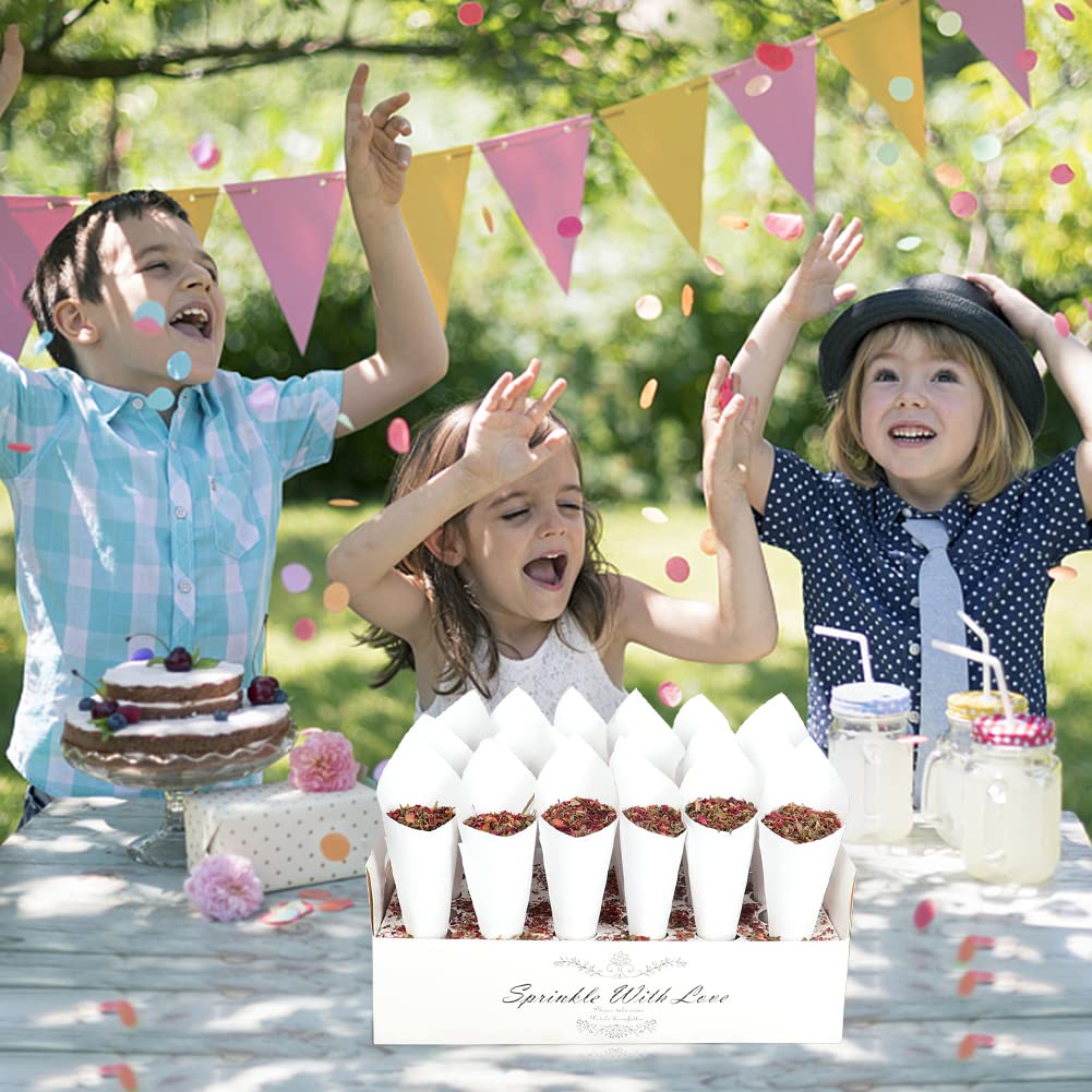 Bekecidi 30 Pieces biodegradable confetti Cones and Stand Tray Paper Cone Box 30 Holes Suitable Placing Dried Flower Petals Confetti for Wedding, Engagement, Party, Birthday (White)