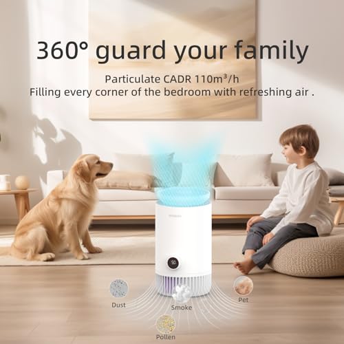 AIRAPEX 2 in 1 Air Purifier and Evaporative Humidifier Combo for Bedroom, H13 True HEPA Filter, Cool Mist-Free Air Humidifier T3-Silver Button