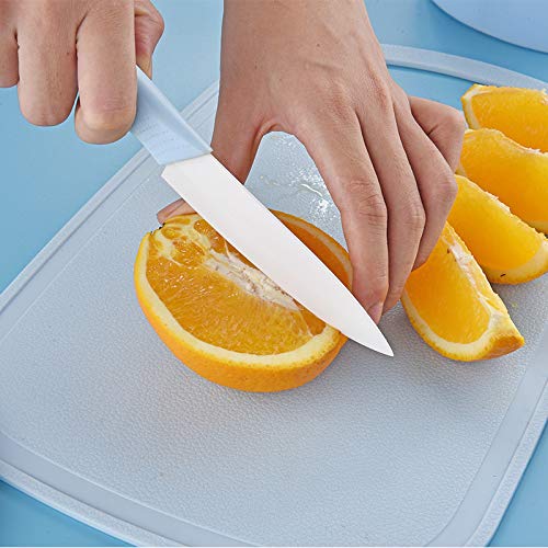 Wessebn Ceramic Parer Paring Knife Vegetable Knife,5 Inch (Pink Handle)