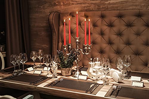 Hyoola 12 Pack Tall Red Taper Candles - 10 Inch Red Dripless, Unscented Dinner Candle - Paraffin Wax with Cotton Wicks - 8 Hour Burn Time.