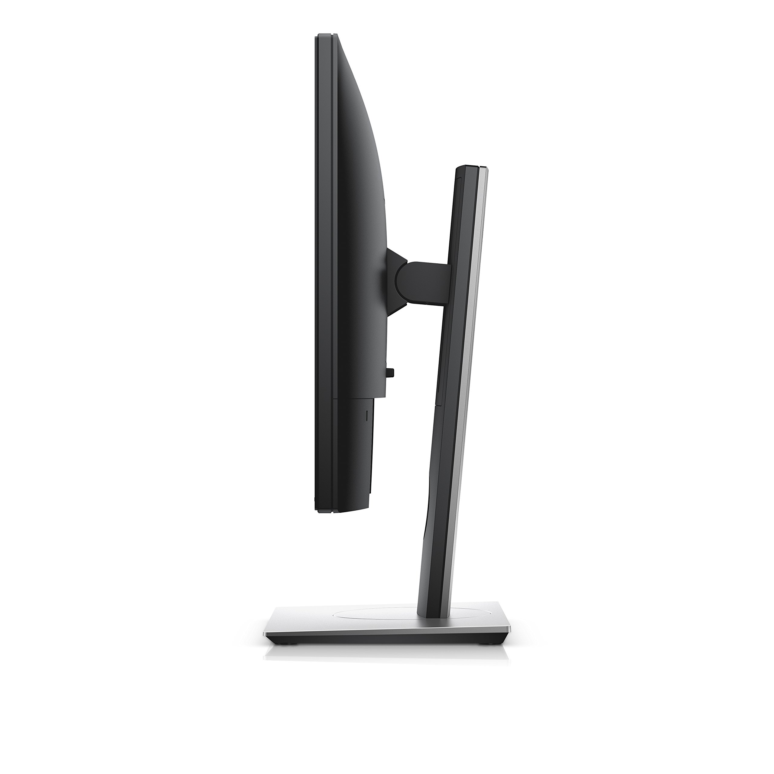 Dell Monitors P1917S 19In Monitor P1917S