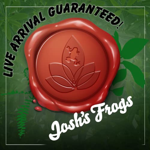 Josh's Frogs Hornworms Habitat Cup (25 Count Cup)