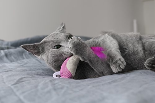 Petstages Dental Shrimpies Catnip Cat Chew Toy - 2 Pack