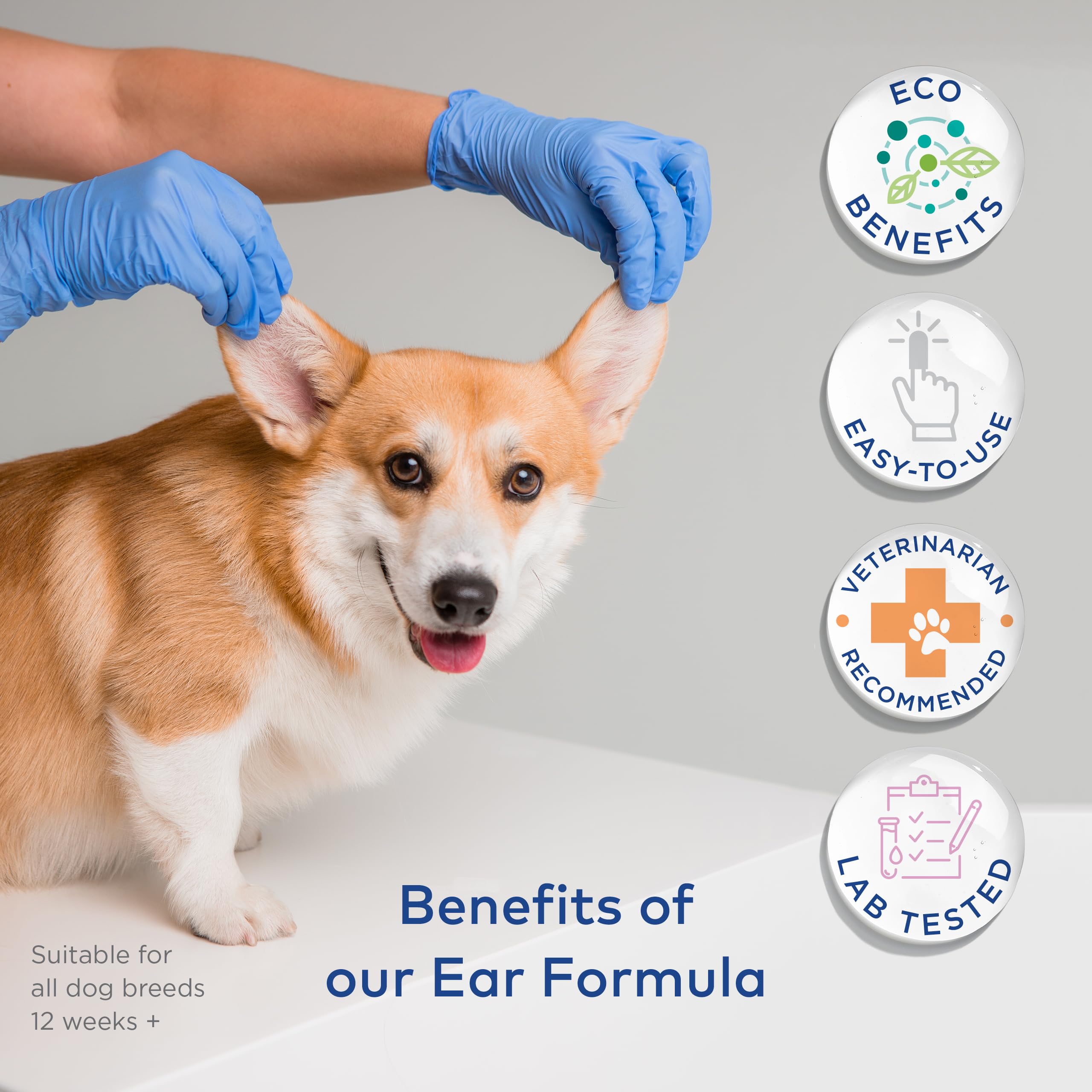 ARCA PET Dog Ear Cleaner Wipes - Vet Formulated Cleanser for Dogs - Ear Itching, Dissolves Wax, Dirt & Odor with Coconut Oil & Aloe Vera (100 Finger Wipes)