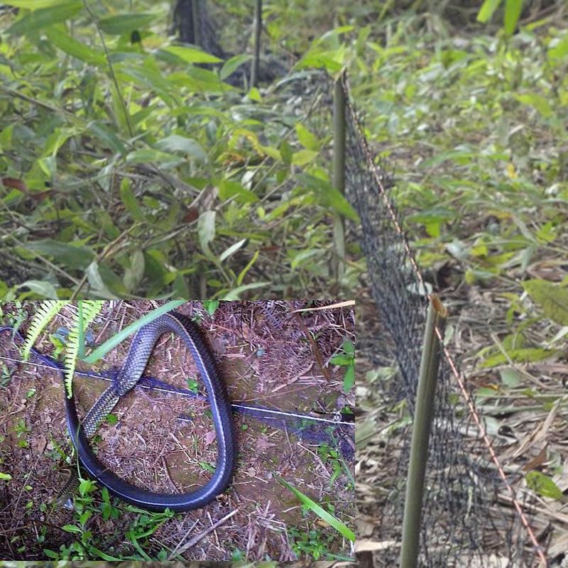Snake Trap Anti Snake Netting Effectively Prevents Snakes from Entering The Home Suitable for All Types of Snakes Easy to Place (Small)
