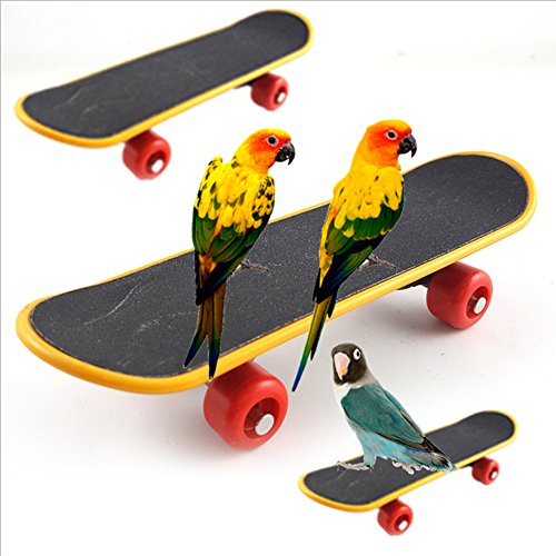 Shuohu Durable Mini Skateboard Parrot Bird Cage Toy Chew Training Ornaments Xmas Gifts for Pets Yellow