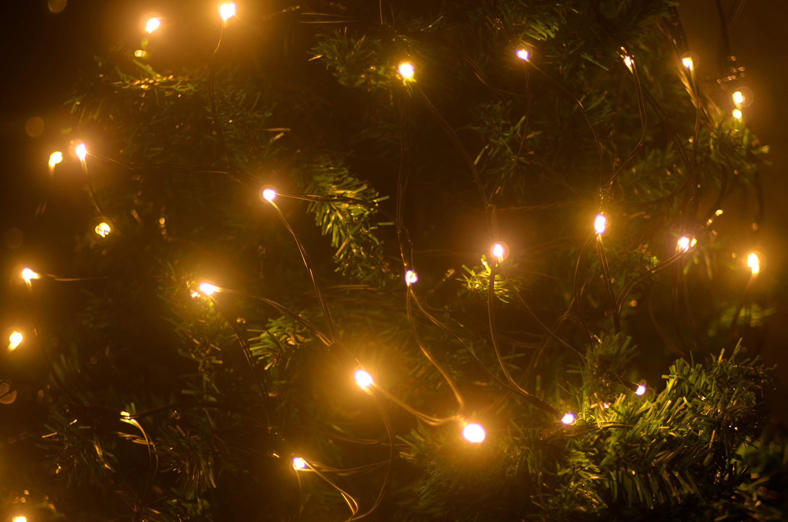 9.8Ft x 6.0 Ft 320LED Connectable Mesh Net Fairy Garden Light Twinkle Waterproof Light String with 8 Modes Green Cable for Festoon Party/Garden/Christmas/Patio/Wedding (Warm White)
