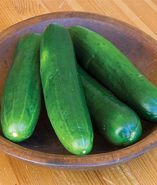 Burpee Seeds, Burpee Seeds Cucumber Burpless Beauty, 1 Count