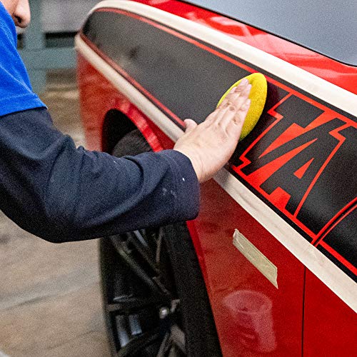 Dr. Beasley's Mini Matte Kit with Accessories, Instant Bonding Coating, 2+ Years of Protection