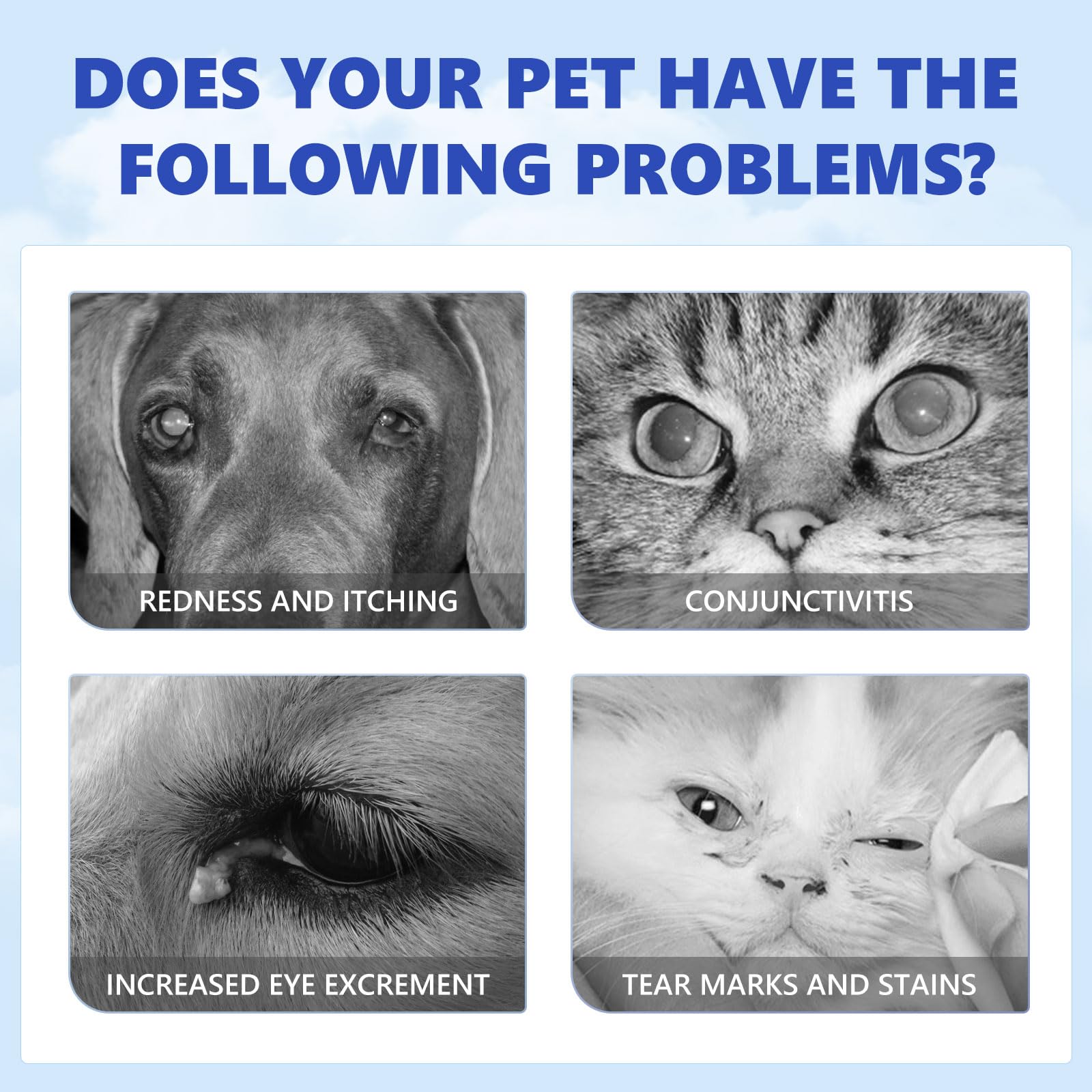 AusuB Pet Gel Eye Drops,Pets Eye Drops,Therapeutic Eye Lubricating Drop for Dog & Cats,Eye Solution for Severe Dry Eyes,Effective Dog Eye Infection Treatment (3Pcs,Blue)