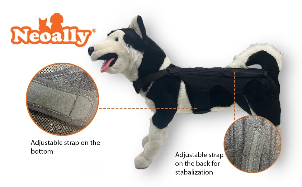 NeoAlly Dog Back Brace for Dogs Arthritis, IVDD, Spinal Surgical Recovery, and Back Disease Prevention (Extra Large)