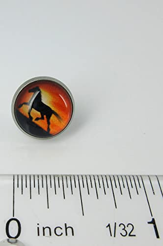 Stainless Steel Sunset Horse Print Glass Stud Earrings 12mm