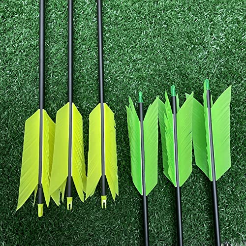 6/12pcs Archery Carbon Arrows 30" Bow Target Hunting Arrow 4 Turkey Feather (Green,12pcs)