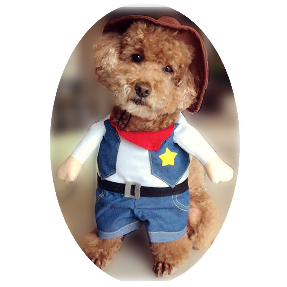 NACOCO Cowboy Dog Costume with Hat Dog Clothes Halloween Costumes for Cat and Small Dog (Small)
