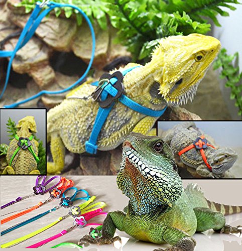 RZRZOO Adjustable Reptile Lizard Harness Leash Multi Color Light Soft Fashion Pet Small Animal,Random Color