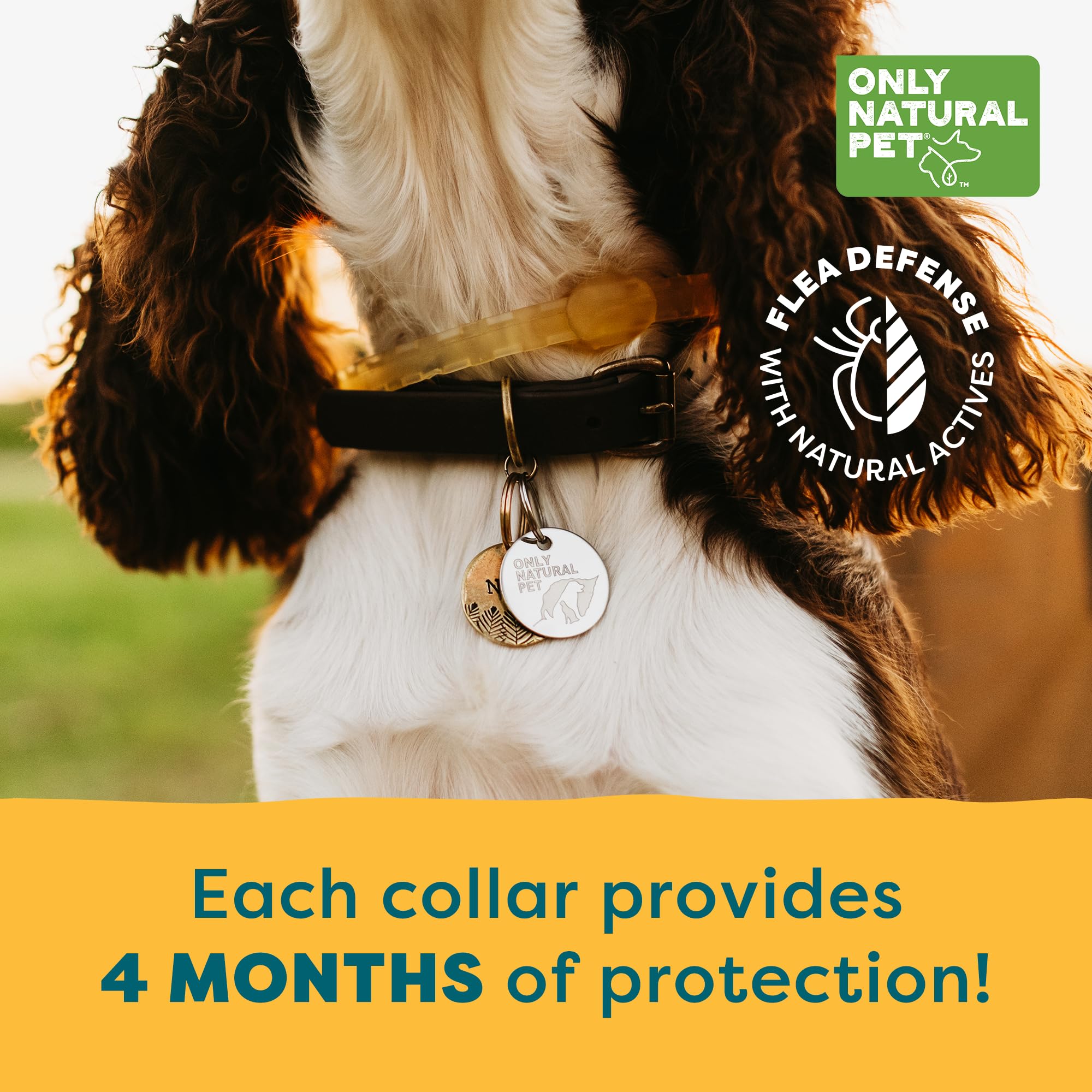 Only Natural Pet EasyDefense Flea & Tick Dog Collar - Canine Flea Collars Flea and Tick Control - Pet Flea Care That Protects up to 4 Months - for Dogs (2 Pack)