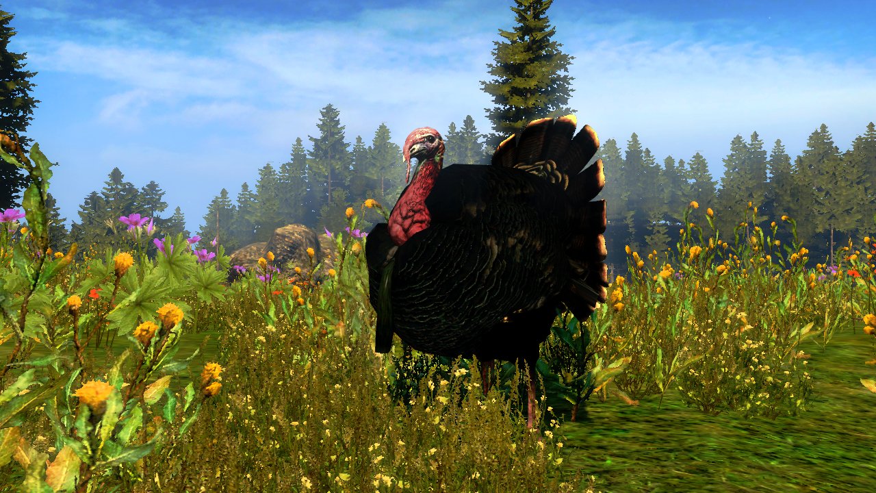 Cabela's Outdoor Adventure '10 - Playstation 3