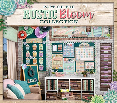 Teacher Created Resources Rustic Bloom Mason Jars Accents (TCR8551)