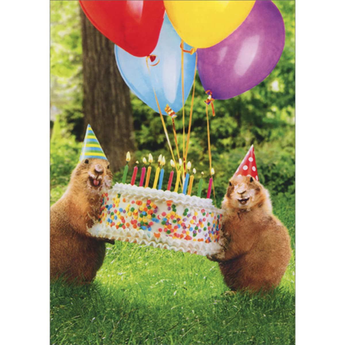 Avanti Press Two Prairie Dogs Carrying Cake and Balloons Funny/Humorous Birthday Card