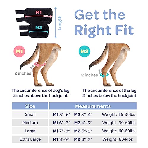 Labra Dog Extra Supportive Canine Rear (Hind) Leg Hock Joint Compression Wrap for Recovery, Protection, and Sprain and Injury Prevention, Ankle Brace with Knee Support for Dogs - Large