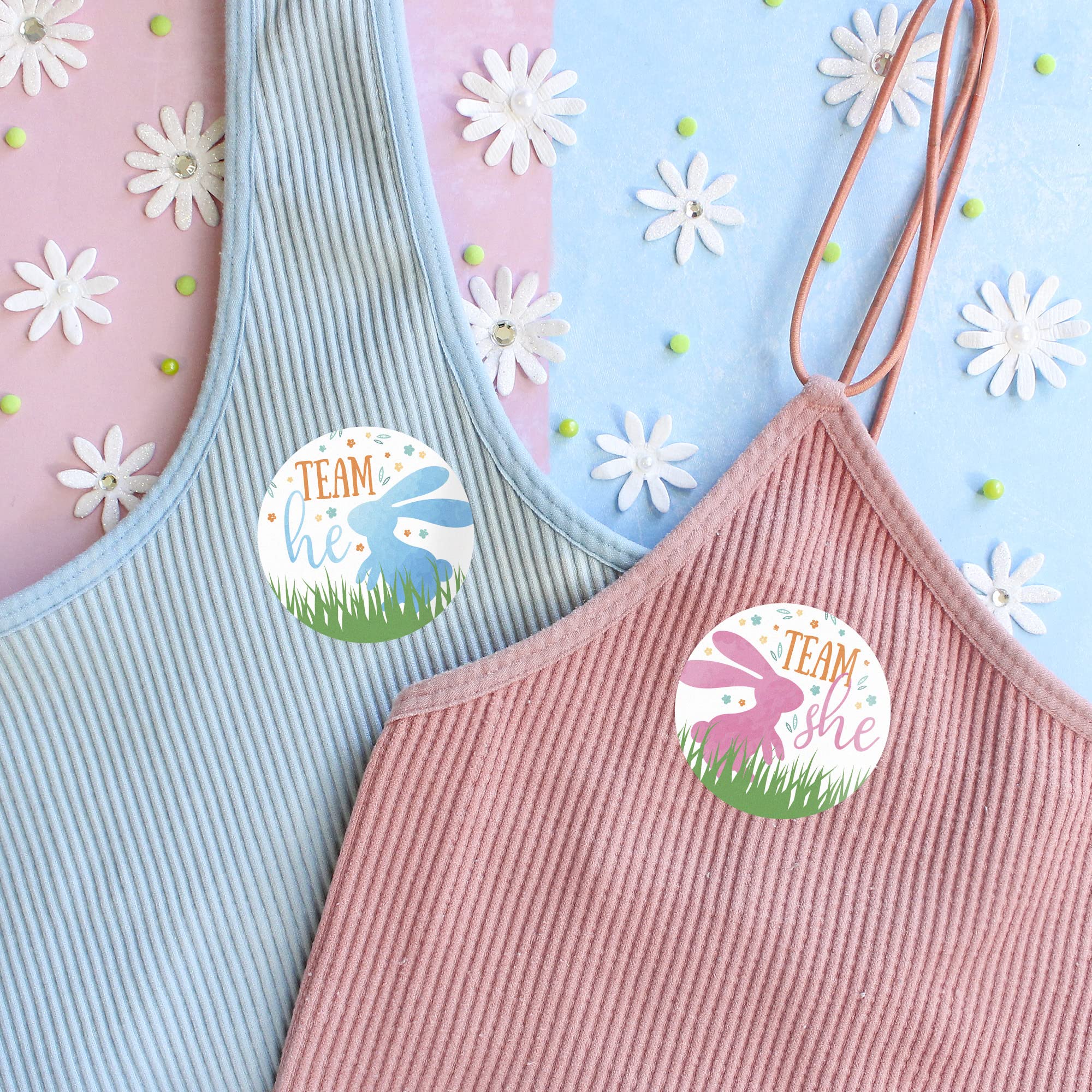 What Will Our Little Bunny Be Gender Reveal Party -Team He or Team She - 40 Stickers
