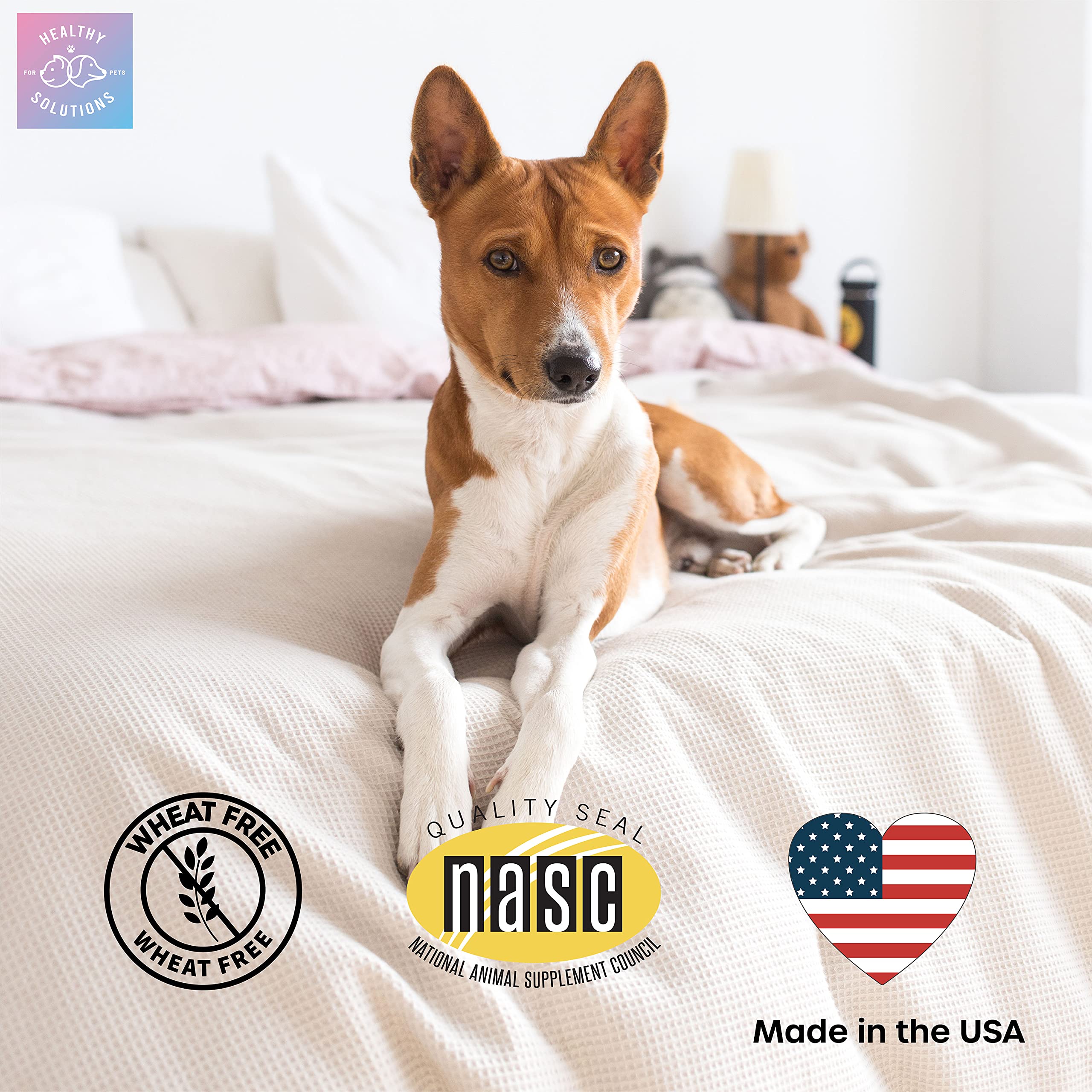 Dog Daily Essentials Bundle - Includes All-in-One Dog Multivitamin, Probiotics for Dogs, & Glucosamine for Dogs - Supports Joints, Digestion, Skin, & Coat - 60ct Soft Chews | Made in USA