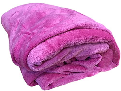Home Must Haves Solid Hot Pink Super Soft Warm Cozy Plush Premium Bed Throw Blanket, Twin Size (75" x 80")