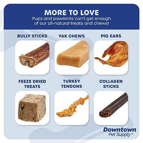 Downtown Pet Supply 6 inch Bully Sticks for Large Dogs, 5 Pack of Jumbo Extra Thick Treats for Aggressive Chewers, Single Ingredient, Rawhide-Free Long Lasting Dental Chews for Big and Medium Dogs
