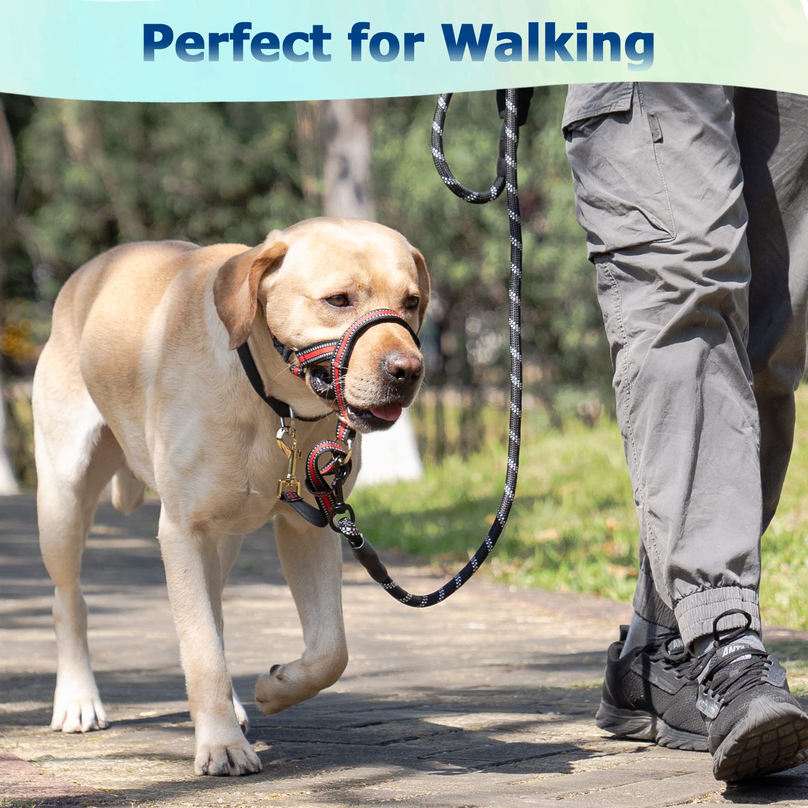 BARKLESS Muzzle Leash for Heavy Pullers, No Pull Stylish Head Halter for Medium Large Aggressive Dogs, Gentle Dog Face Harness Stops Pet Pulling and Choking on Walks, Adjustable Head Collar (XL, Red)