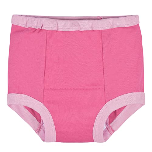 Gerber Baby Girls Infant Toddler 4 Pack Potty Training Pants Underwear Rainbow Turquoise and Pink 2T