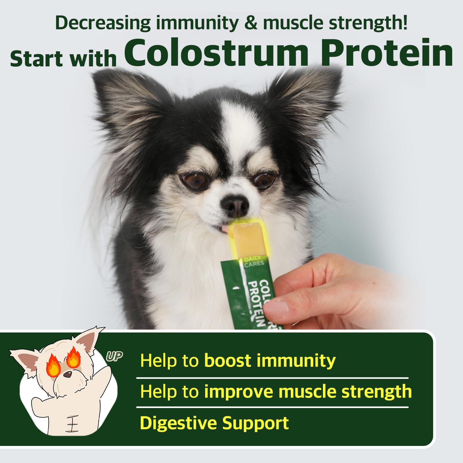 Doctor By Colostrum Protein for Dogs and Puppy β Weight Gain Supplement for Dog - Muscular Strength and Immune System Support with Colostrum, Whey Protein Isolate, Goat Milk β 30 Tubes