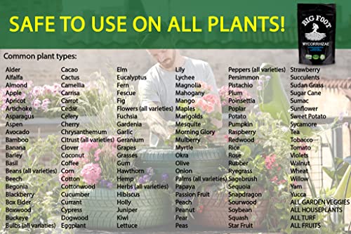 Big Foot Water-in Brew - Soil Drench and Organic Fertilizer | Mycorrhizae + Worm Castings + Kelp + Azomite,+ Biochar + Humic Acid - (4 oz)